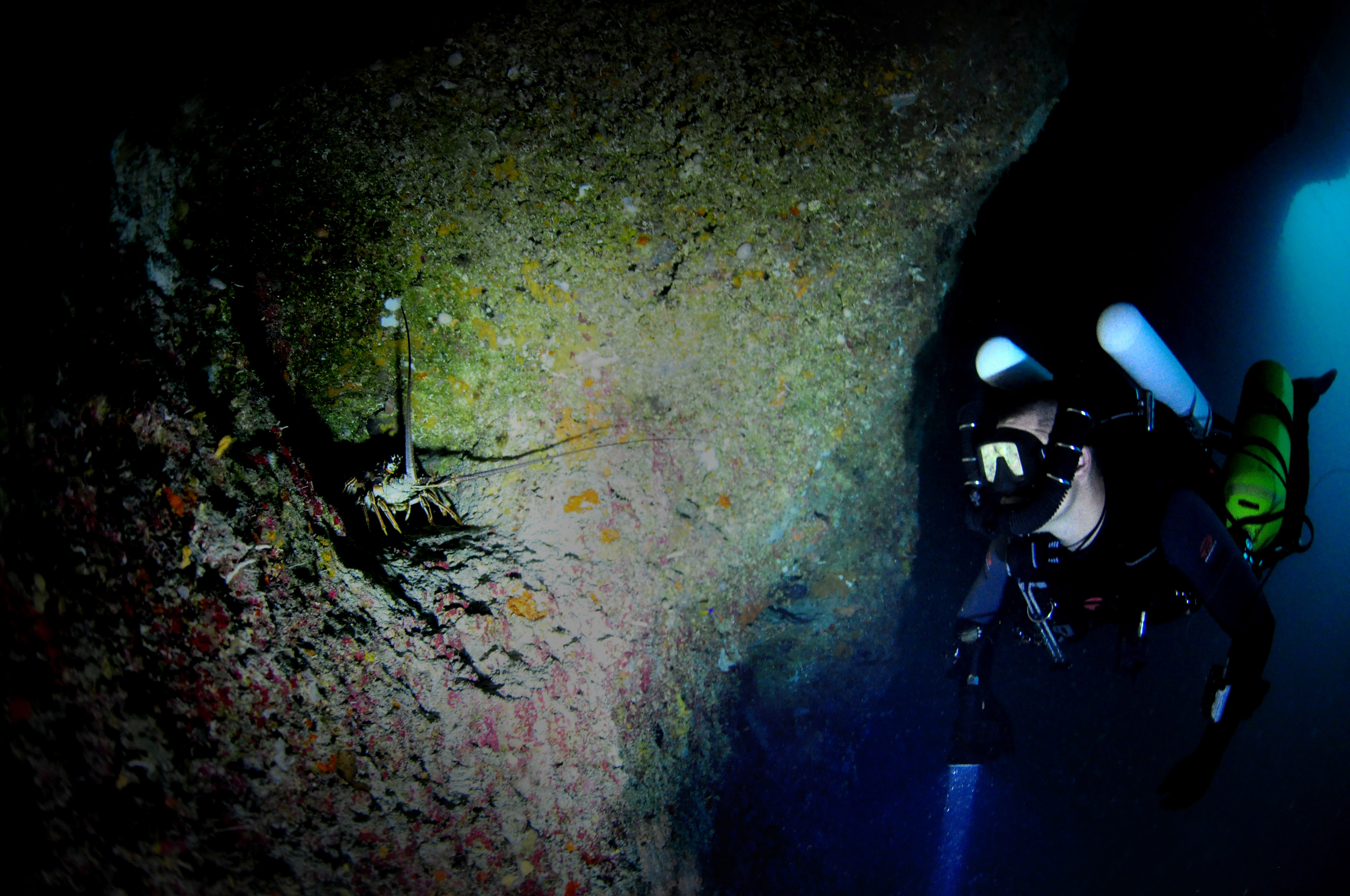 The Blue Holes of Cay Sal Banks