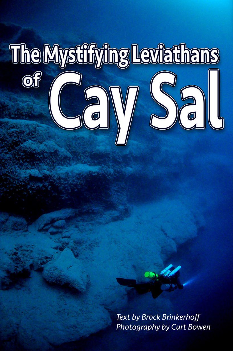 The Blue Holes of Cay Sal Banks