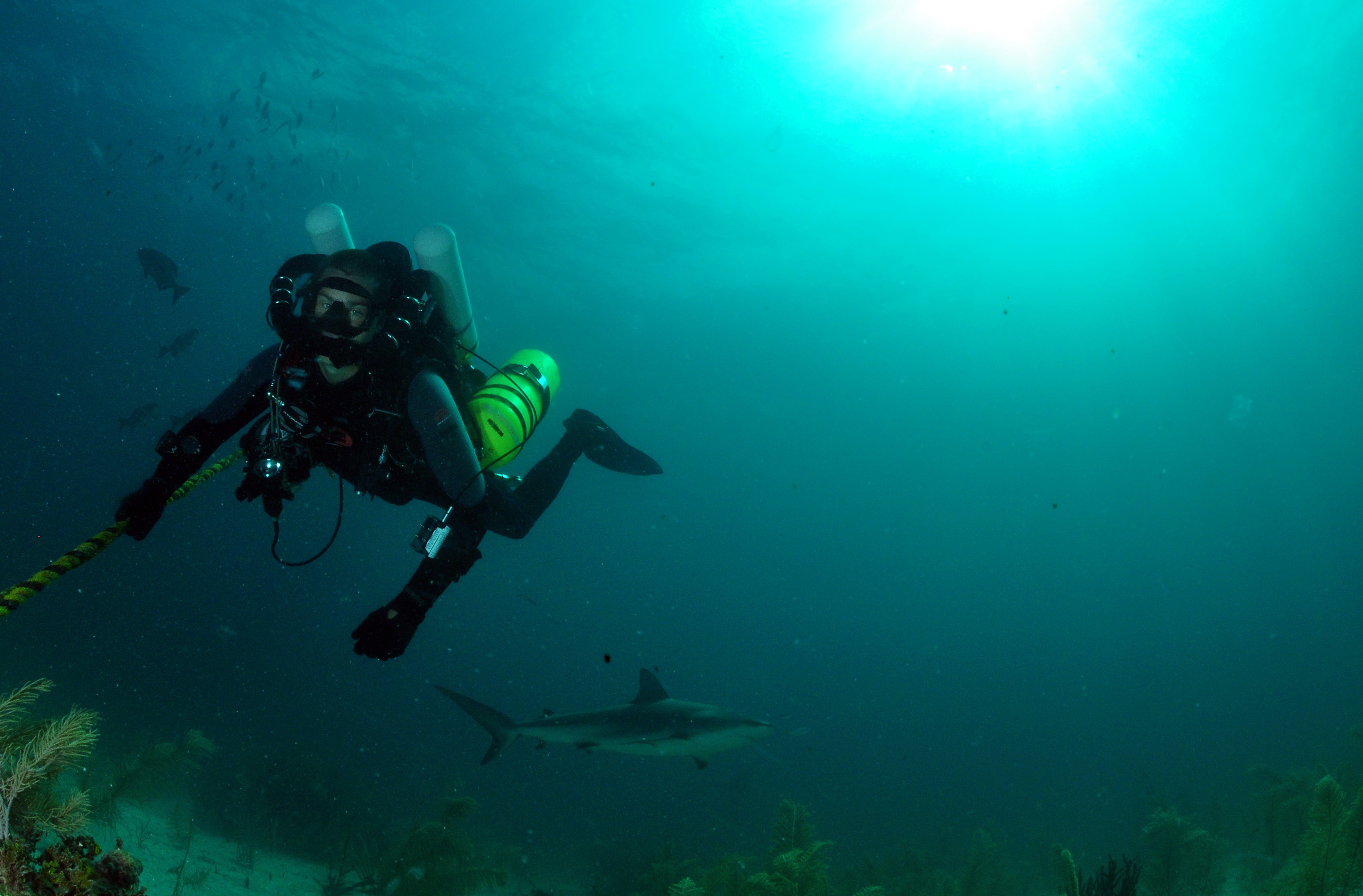 The Blue Holes of Cay Sal Banks