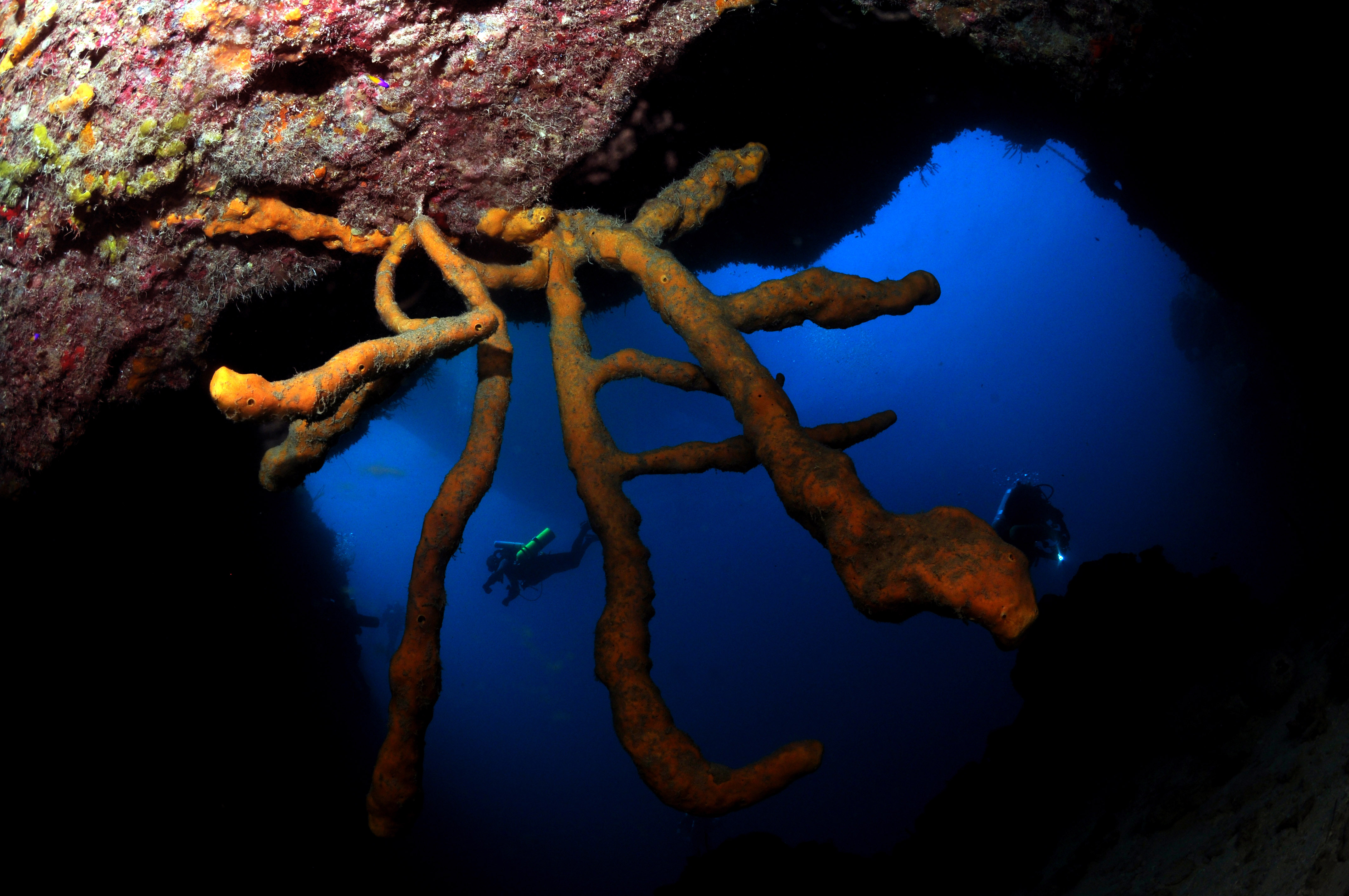 The Blue Holes of Cay Sal Banks