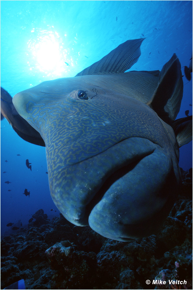 Mike Veitch - ADM Featured Photographer